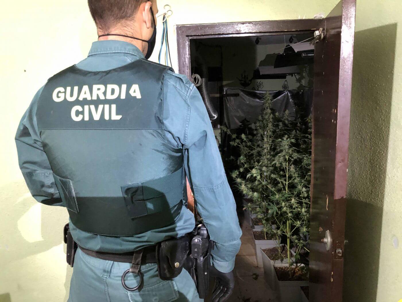La Guardia Civil desarticula el clan familiar que controlaba la venta de marihuana en Calahorra ...